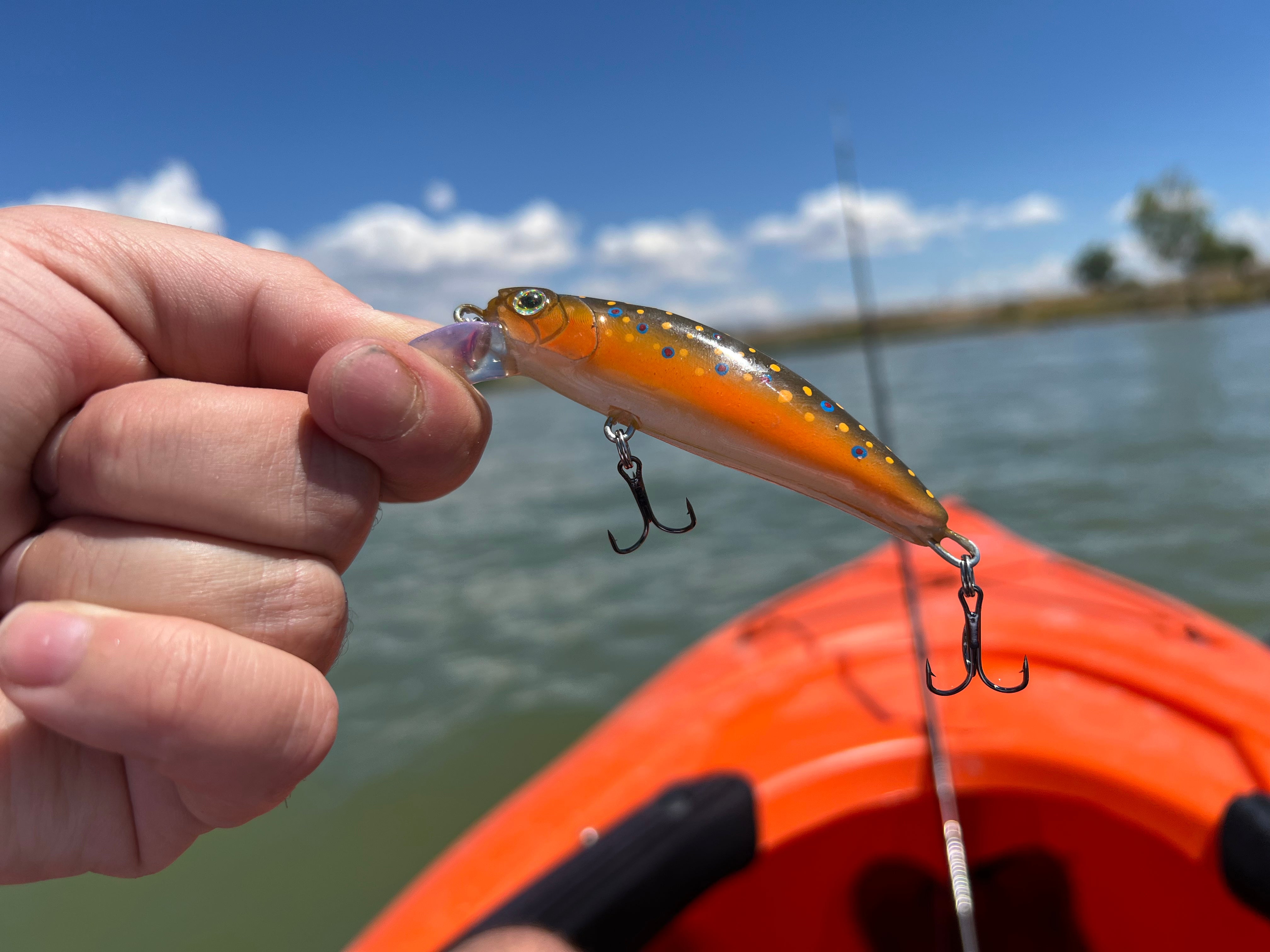 New Brook Trout – Backwoods Angler